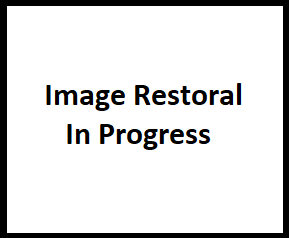 Nick and Mandy chuck in their (allegedly !) secure well paid jobs and ...